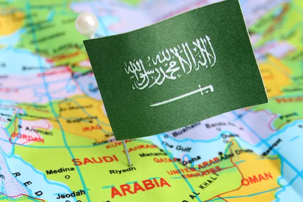 Goosini Language Center